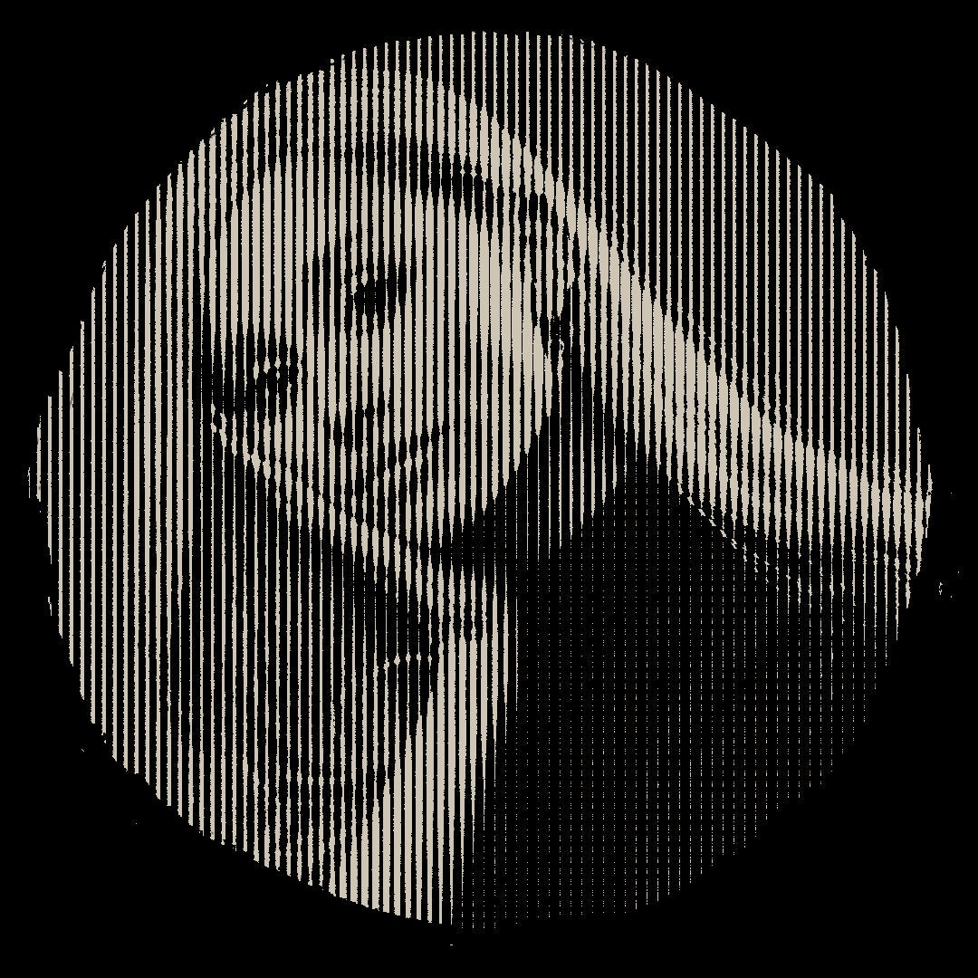 Ariana Grande Embroidered Album Merch – Fan-Made Collection – vinyl Art ...